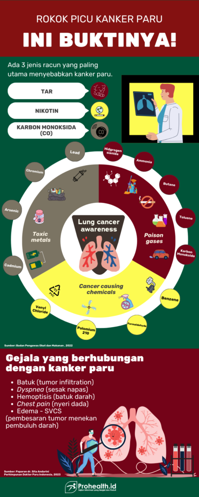INFOGRAFIS: Rokok Adalah Penyebab Utama Kanker Paru - Prohealth